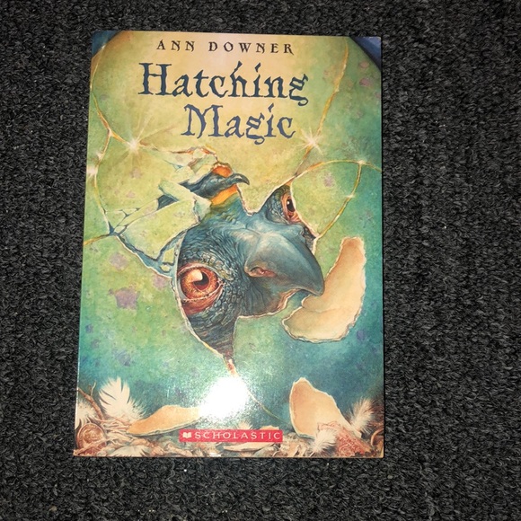 Other | Hatching Magic | Poshmark